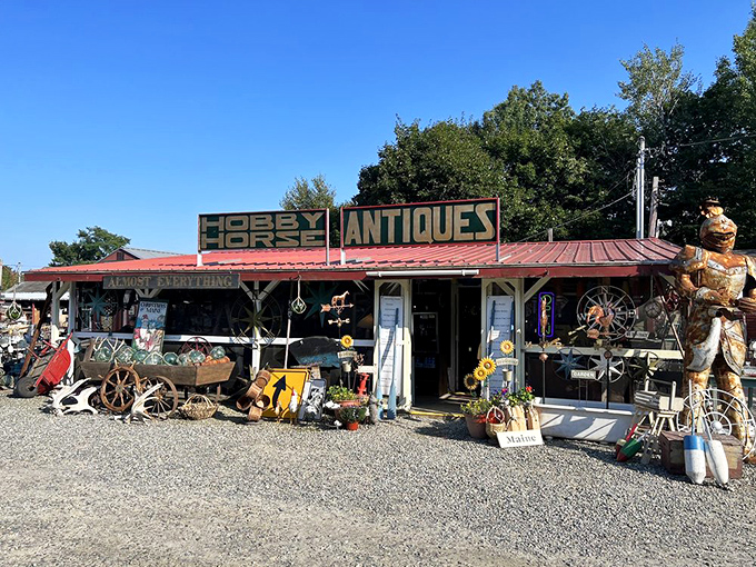 From nautical knick-knacks to retro radios, it's a treasure hunt on steroids. Indiana Jones, eat your heart out!