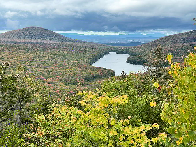 Trails wind through pristine forest: A hiker's paradise where every step feels like you're the first to explore.