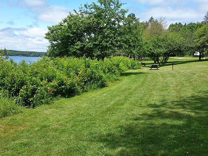 Frenchman Bay vista from Lamoine: Where every view is suitable for framing. Sorry, Windows wallpaper, you've been outdone.
