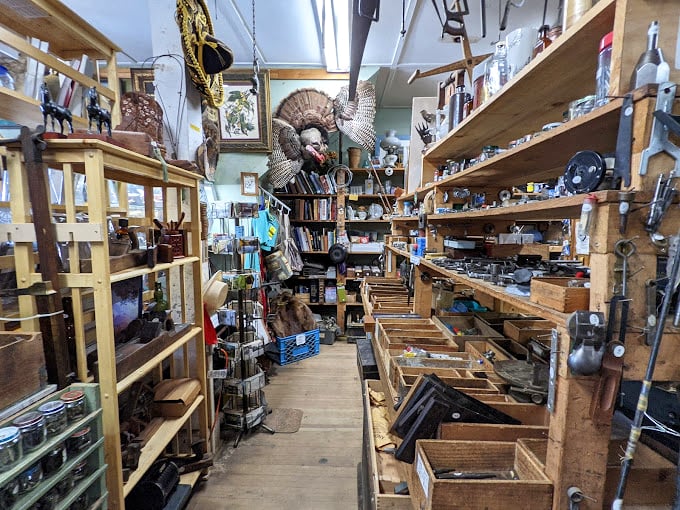 From rusty gold to vintage gems, this place is a DIYer's dream. Time to channel your inner Bob Vila!