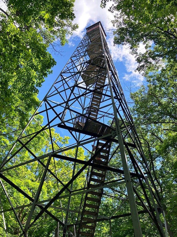 Take a vertical detour up the observation tower for a bird's-eye view of your journey.