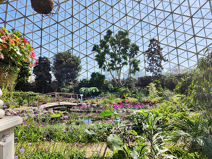 Part greenhouse, part time machine. Step inside for a global botanical tour without leaving Wisconsin.