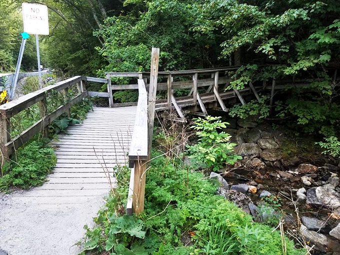 At Moss Glen Falls, the water tumbles down like it's auditioning for Cirque du Soleil. Spoiler alert: It gets a standing ovation every time.