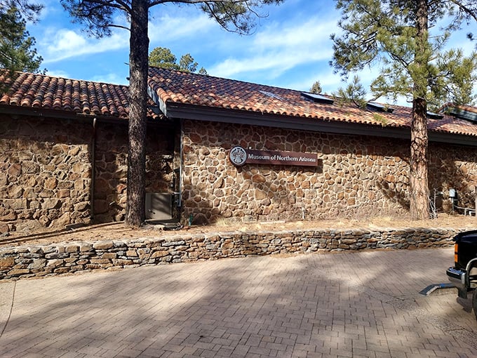 "Touch rocks older than time, meet Arizona's dinosaurs, and explore cultures &ndash; all without leaving Flagstaff!"