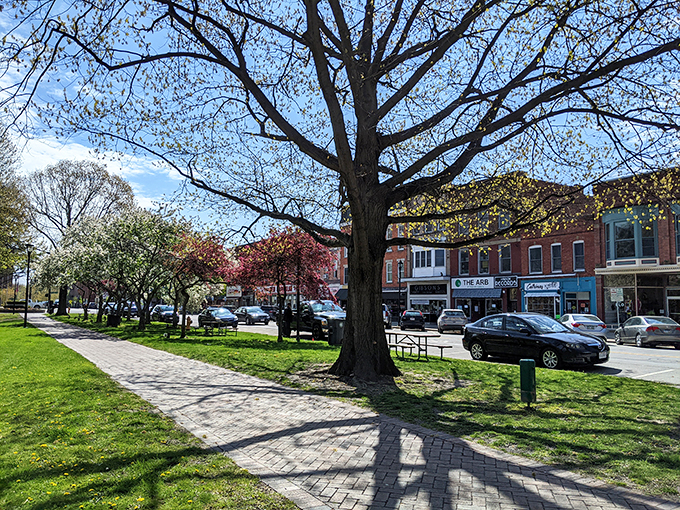 Campus calling! Oberlin's scholarly vibe might have you considering a mid-trip enrollment. Time to hit the books... or just the local coffee shop.