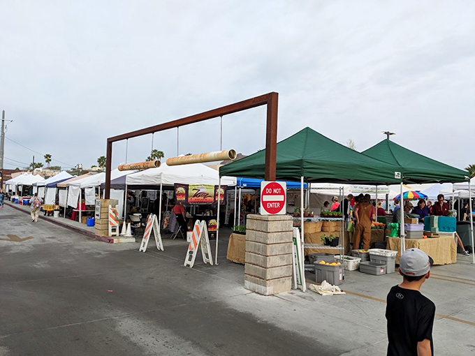 Kale and collectibles unite! This isn't just a market, it's a choose-your-own-adventure in local flavors and vintage finds.