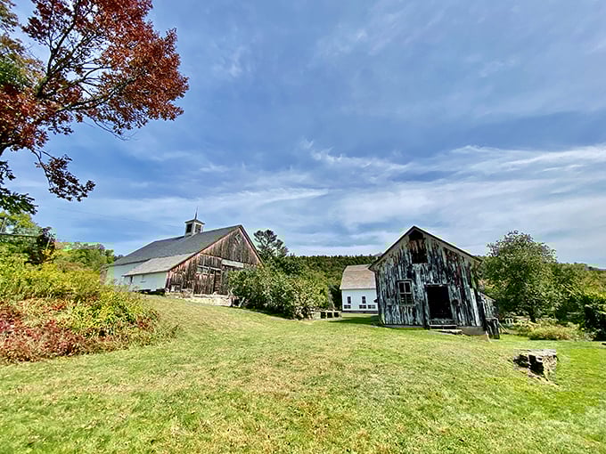 Expand your palate and your playlist. Each heirloom apple here has a story as rich as its flavor.