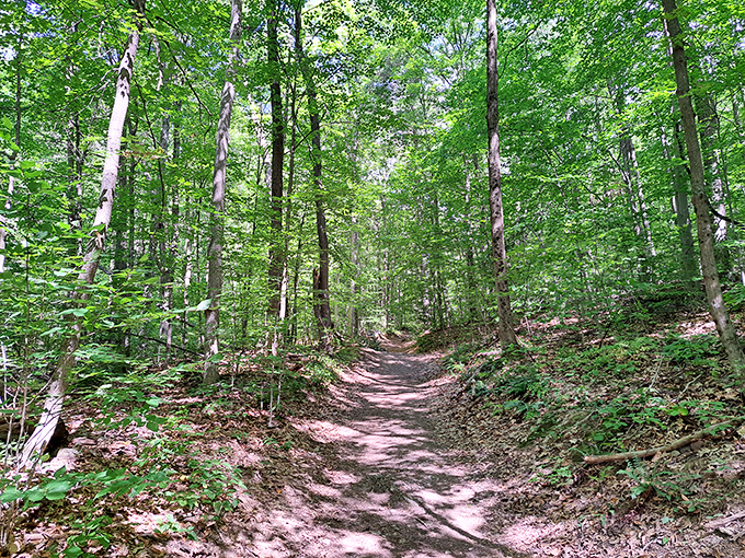 From car seat to mountain peak. This hike is the scenic route your road trip didn't know it needed.