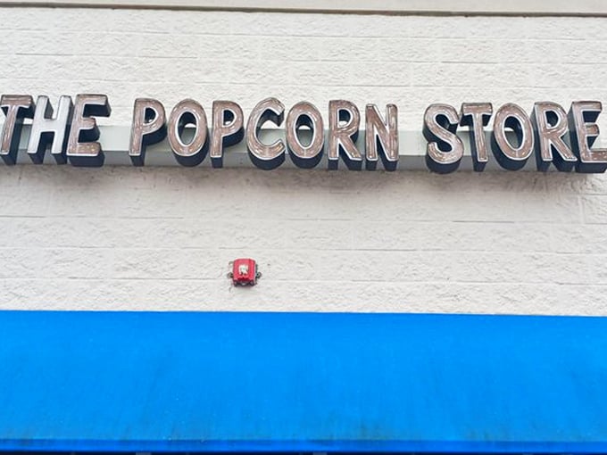 "Fuel up on gourmet popcorn at this roadside gem. Your taste buds will thank you for the pit stop!"
