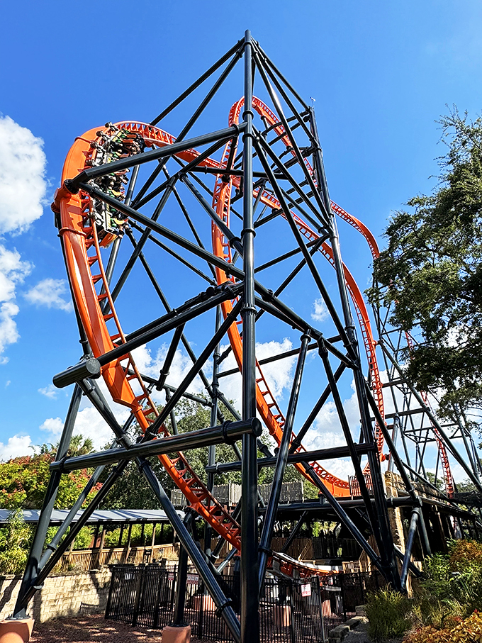 Stripes of steel and screams of delight. Tigris proves that cats aren't the only ones with nine lives.
