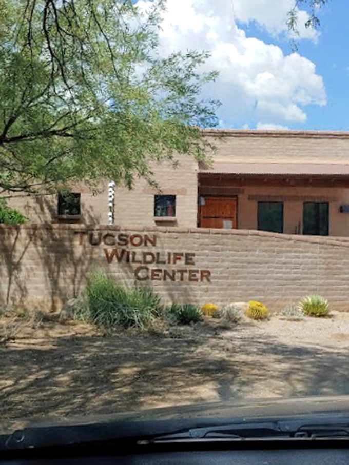 Raptor rehab central. These birds of prey are getting their wings back, one flight at a time.