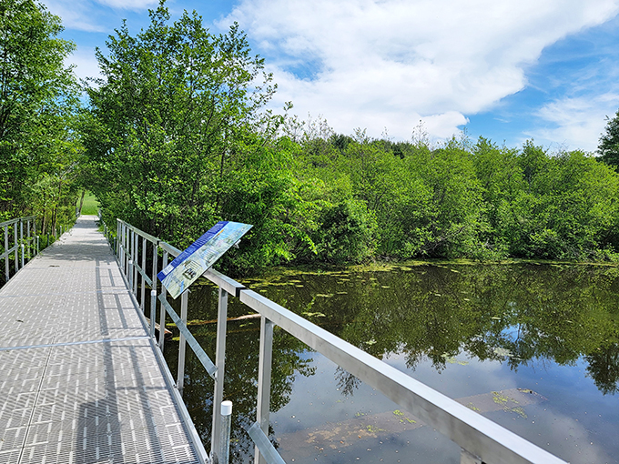 Forest bathing, Maine style! Immerse yourself in this woodland spa for road-weary wanderers.