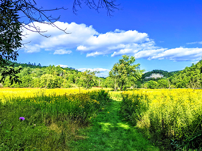 Limestone bluffs frame Whitewater's rushing rapids. It's like Mother Nature's own action movie set, minus the stunt doubles.