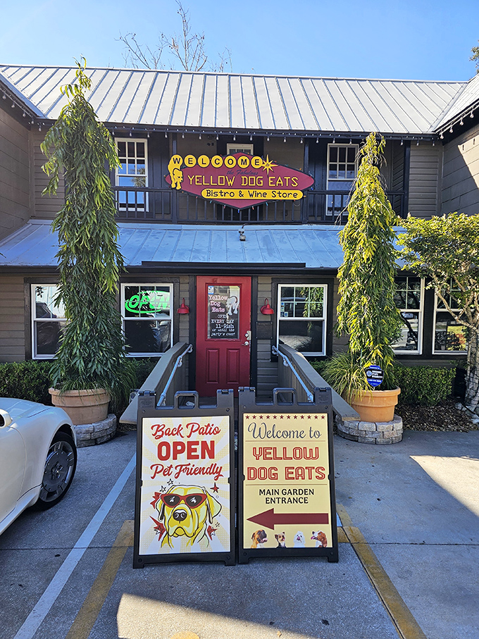 Doggy decor, flavors galore! Yellow Dog Eats serves up quirky charm with a side of seriously good BBQ.