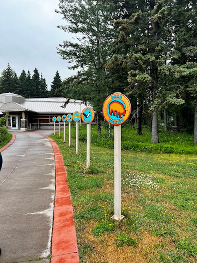 Follow the yellow brick road... er, colorful signs! These cheery markers lead the way to adventures that'll make Dorothy's trip to Oz look boring.