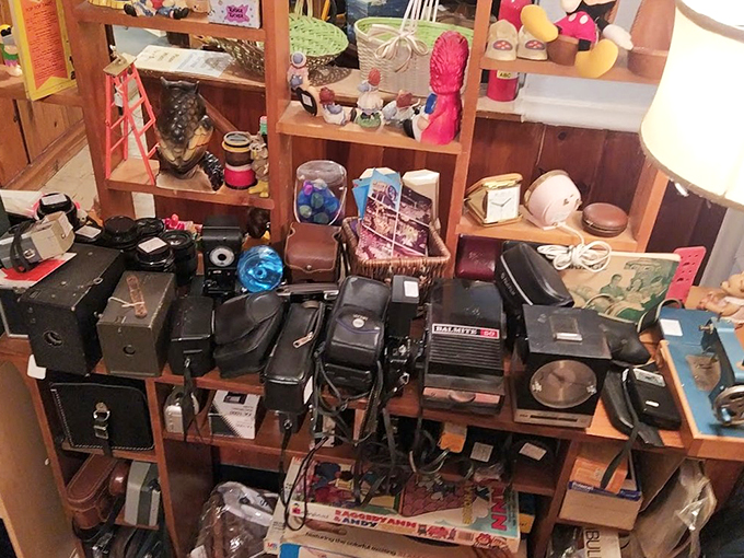 Say cheese to history! These vintage cameras capture more than images; they frame the evolution of photography in a truly picture-perfect display.