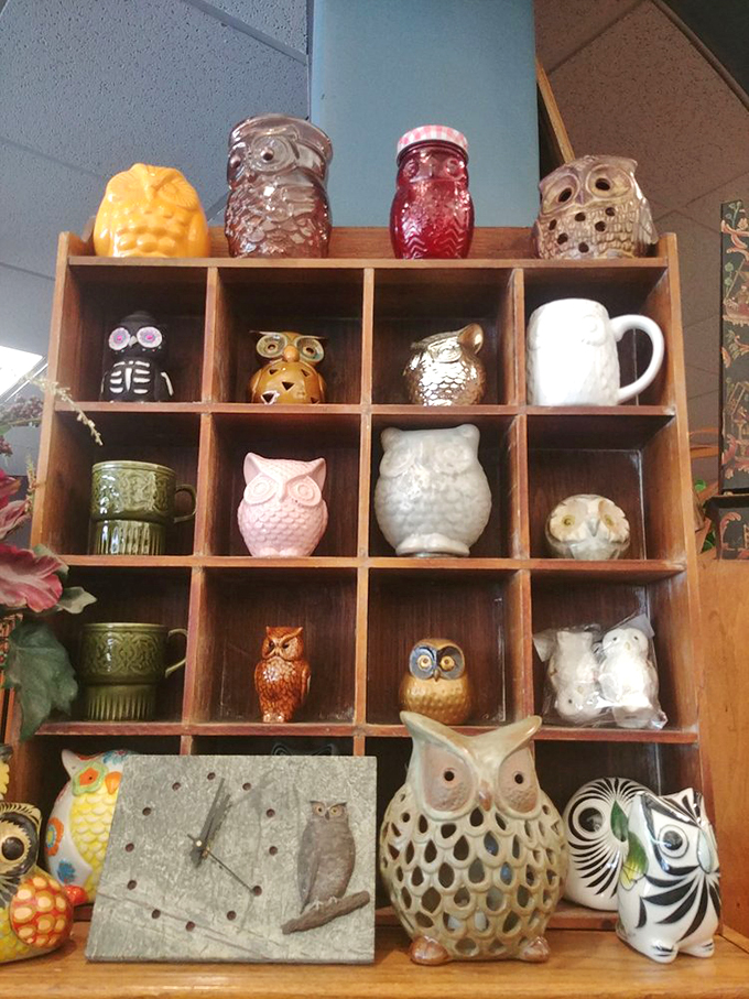 Who's watching you shop? This parliament of ceramic owls, that's who! Quirky decor that's a real hoot.