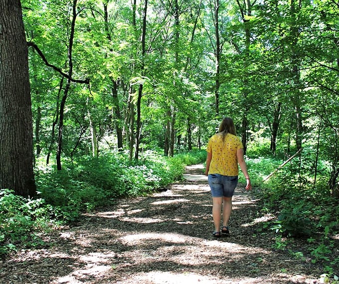 Green, green everywhere! It's like Mother Nature rolled out her finest carpet just for us. This lush landscape is proof that life above ground is just as impressive.