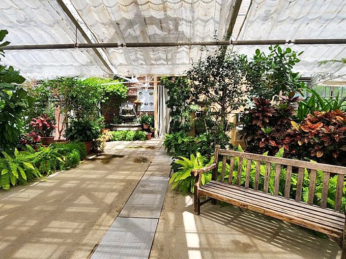 "Jumanji meets Jane Austen!" Step into this lush indoor garden, where ferns and flowers create a verdant backdrop for genteel tea parties or daring jungle adventures.