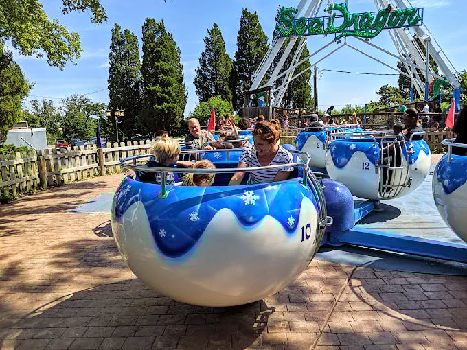 Family bonding at its finest. More smiles here than at a toothpaste commercial casting call.