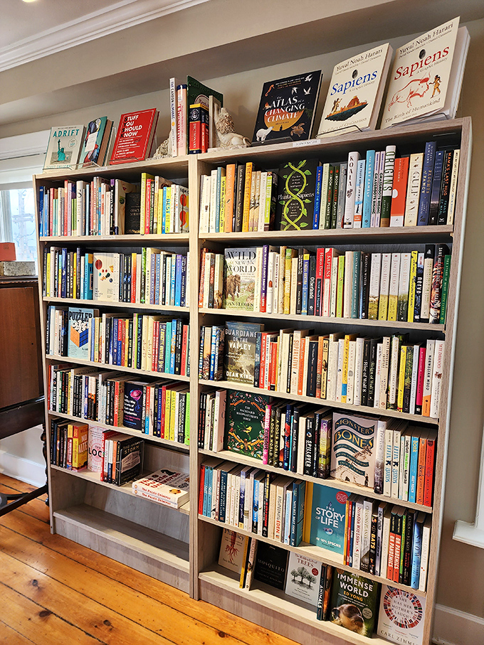 A feast for the eyes and the mind. This bookshelf is like a literary buffet &ndash; you'll want to sample everything on display.