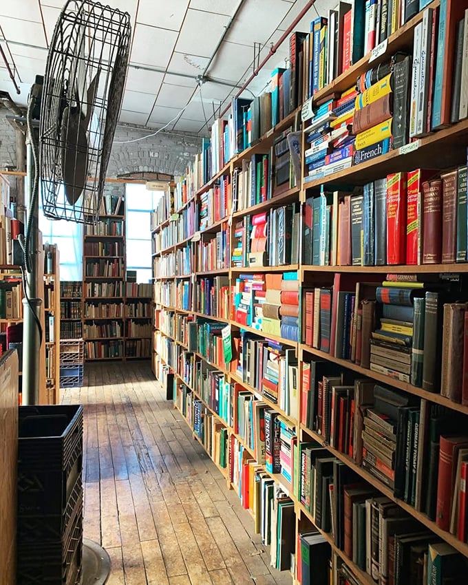 Books, books everywhere, and every page a drink! This sea of stories could quench any intellectual thirst.