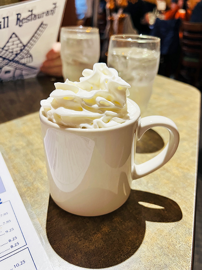 Winter in a mug! This hot chocolate topped with a cloud of whipped cream is like a warm hug for your taste buds.
