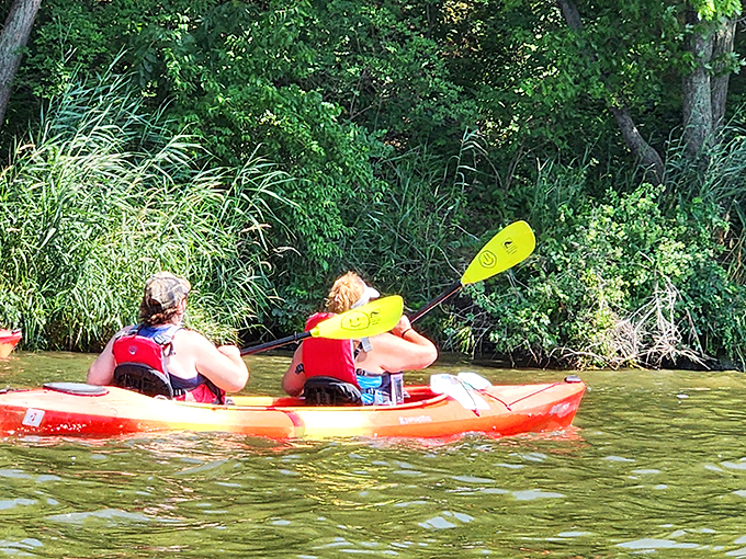 "Paddle your worries away! These kayakers are getting an upper body workout and a dose of serenity all in one go."
