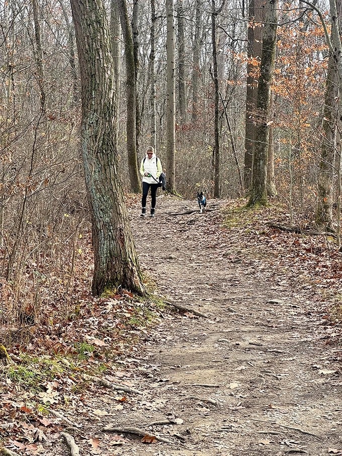 Tails and trails! This path is perfect for both two-legged and four-legged explorers. Just remember, squirrels are for chasing, not catching!