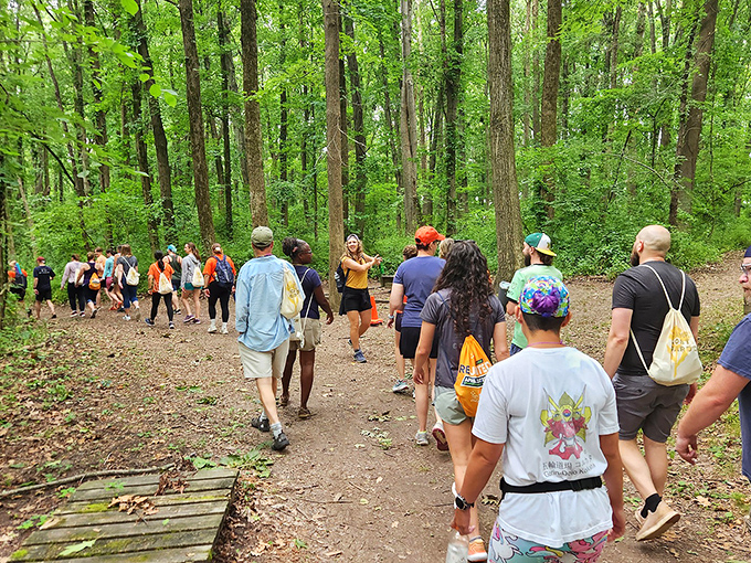 "Welcome to the Evergreen Alley! This tree-lined path is so picturesque, you'll half expect woodland creatures to burst into song."