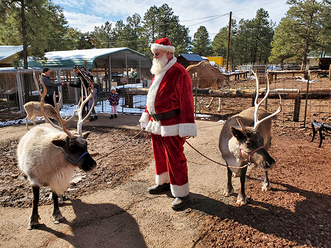 Santa's GPS must be broken! He's made an unexpected pit stop at the deer farm, much to everyone's delight.