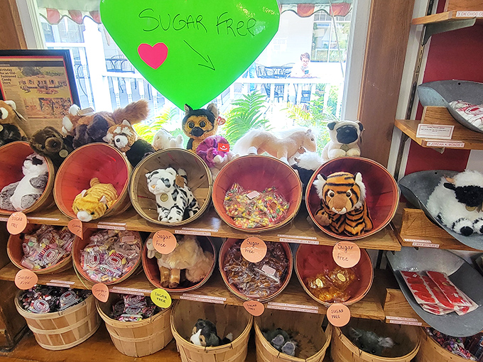 Stuffed animal kingdom meets candy wonderland! It's as if teddy bears decided to open their own confectionery shop &ndash; adorable and delicious.