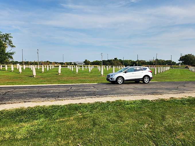 Parked at the world's most unusual drive-in. No popcorn needed – the main attraction is already larger than life!