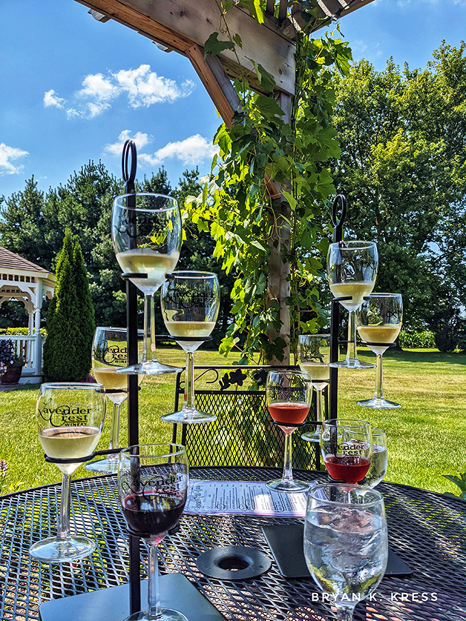 A flight of fancy or a flight of wine? Why choose when you can have both? These glasses promise a journey for your taste buds.