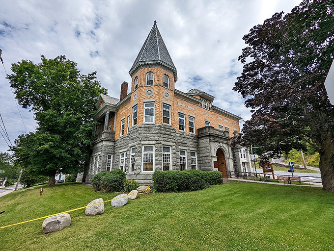 Talk about drawing a line in the sand &ndash; or rather, on the grass. This border gives new meaning to "stay on your side of the yard!"