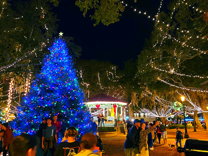 O Christmas tree, o Christmas tree, how blindingly bright are thy branches! This blue beauty could guide ships to shore better than any lighthouse.