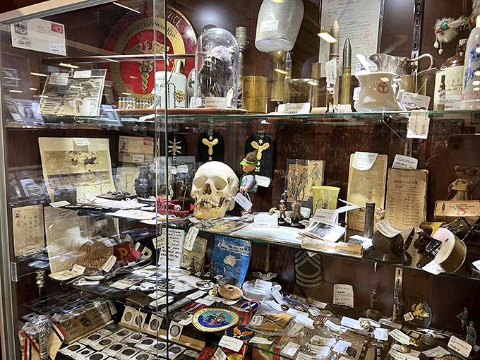 From skulls to scales, this display case is a cabinet of curiosities. It's like a museum exhibit curated by Tim Burton!