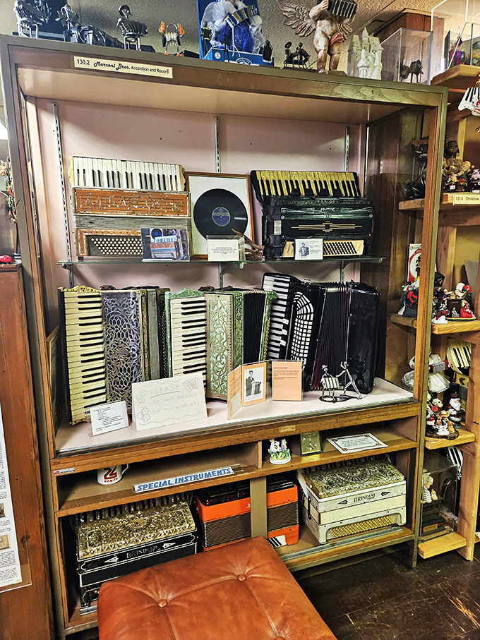 From tiny pocket squeezeboxes to "is that even an accordion?" oddities, this display case is a treasure trove of musical marvels.
