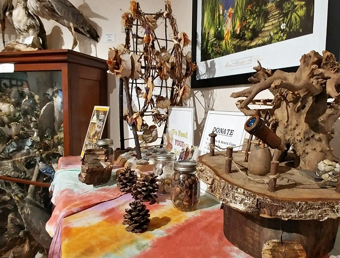 Nature's curio cabinet come to life. It's like your eccentric aunt's collection, but with actual scientific value.