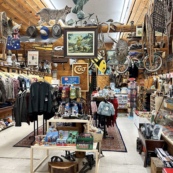 It's a jungle in here! This eclectic gift shop is where Vermont charm meets wild imagination, creating a hunter's trophy room of quirky souvenirs.