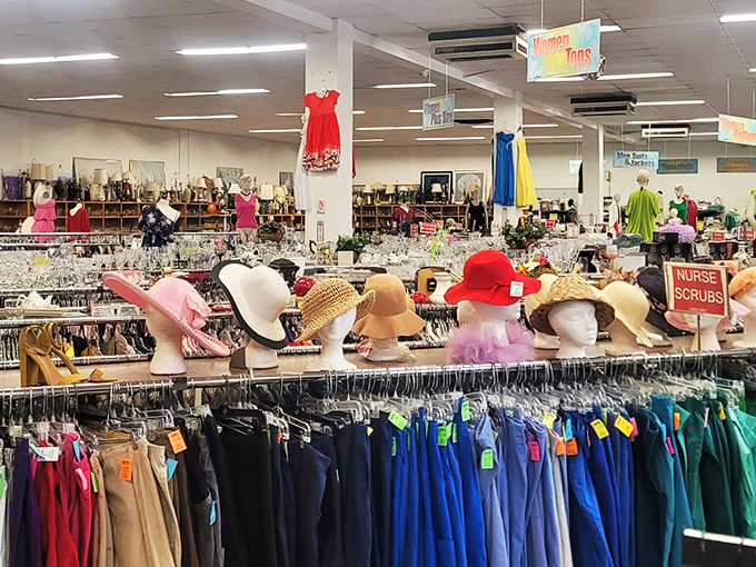 Hats off to variety! From sun-shielding wide brims to sassy fedoras, this millinery menagerie has a topper for every noggin and occasion.