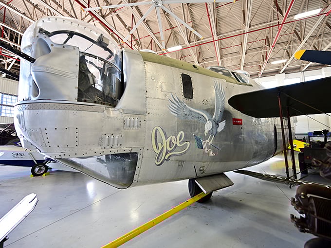 Meet "Joe," the flying fortress with an eagle eye. This bird of prey looks ready to soar at a moment's notice.