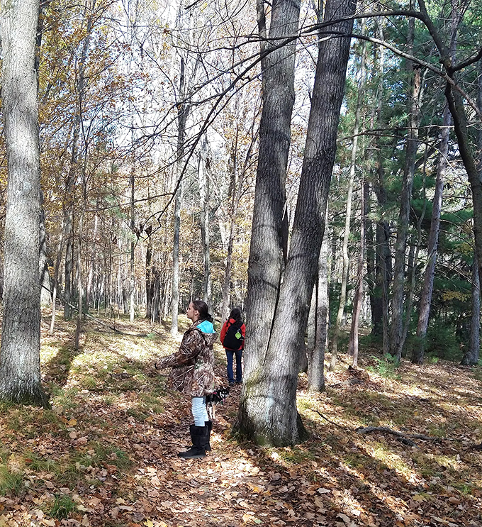 Family tree huggers unite! These woods are like nature's playground &ndash; no Wi-Fi, but plenty of connection.