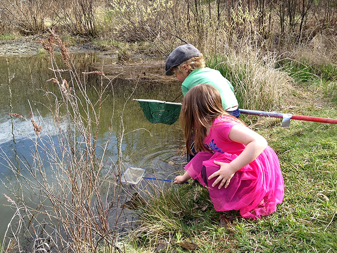 Young naturalists explore the pond's edge, proving that sometimes the best classroom has no walls at all.