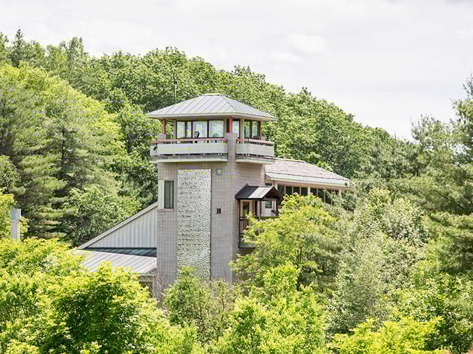 Is it a treehouse for grown-ups or a scientific watchtower? This lofty perch offers a bird's-eye view of Vermont's natural beauty.