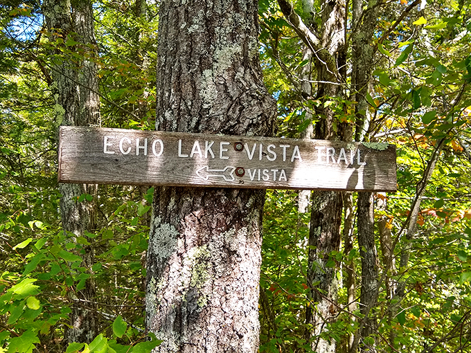 Echo Lake Vista Trail: where "vista" is an understatement. Each step brings you closer to views that'll have you reaching for your camera &ndash; or just standing in awe.