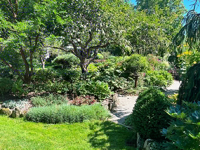 Tree-mendous views at every turn! This leafy paradise is giving the Ents from Lord of the Rings a run for their money.