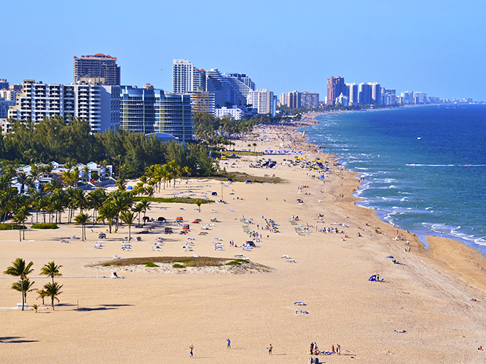 Las Olas Boulevard: Fort Lauderdale's answer to the North Pole. Palm trees wrapped in lights create a uniquely Floridian winter wonderland.
