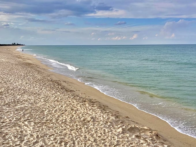 Nature's playground: Sebastian Inlet offers thrills for surfers, anglers, and beach bums alike.