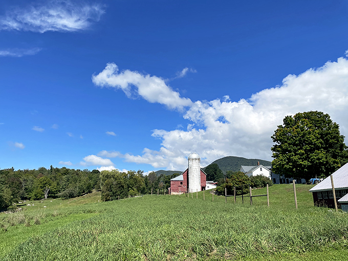 Moo-ve over, dairy farms! Baird Farm proves that cows aren't the only stars in Vermont's pastoral symphony.